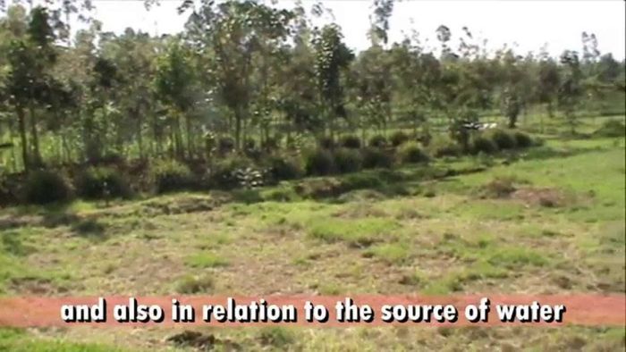 How to select a good site for your fish ponds - FO-Video-Library