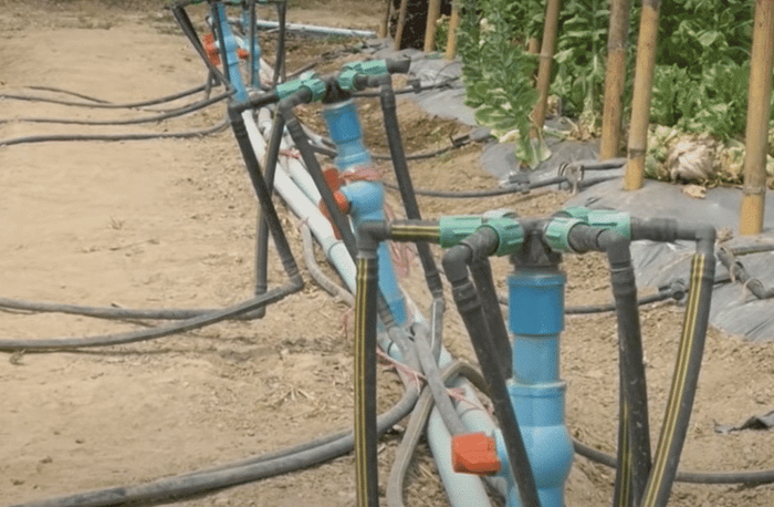 How to install and set up drip irrigation - FO-Video-Library
