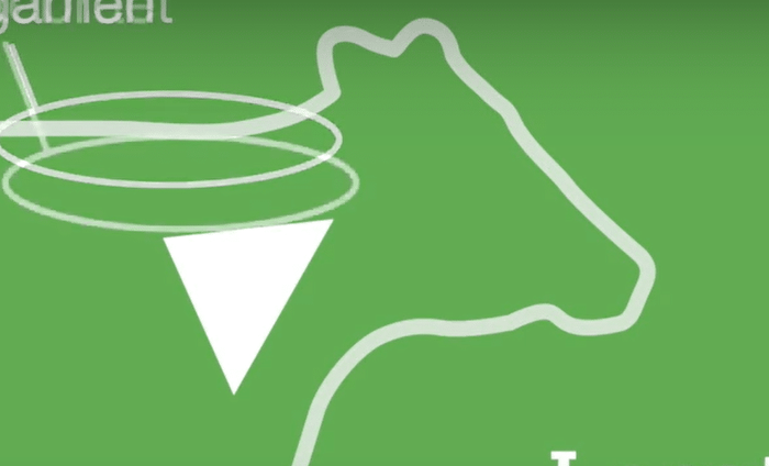 How To Properly Administer Triangle Vaccines - FO-Video-Library