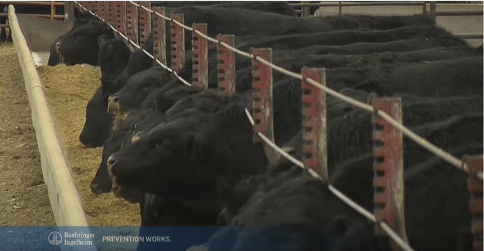 Killed Vaccine Handling; Dosing & Administration-Beef - FO-Video-Library