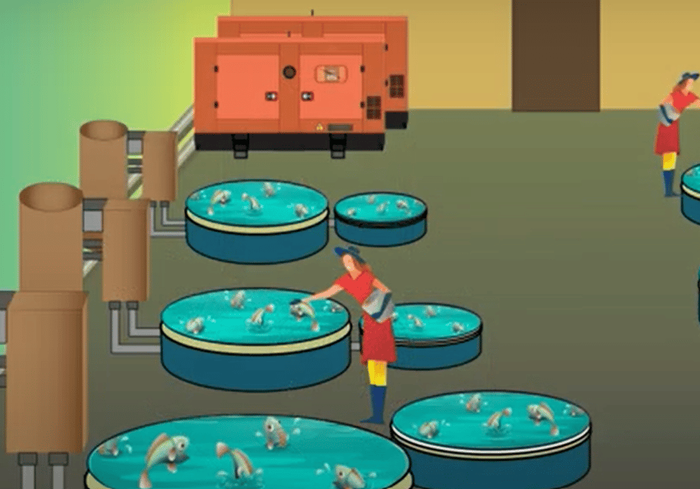 Fish farm management-quarantine and critical control points of ...