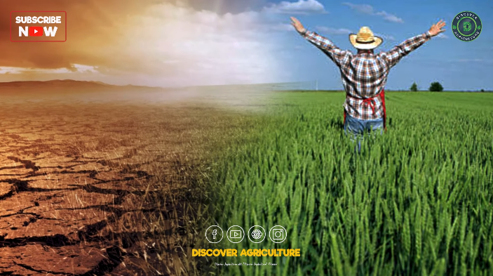 How to transform barren land into an organic Farm in just 1 year - FO ...