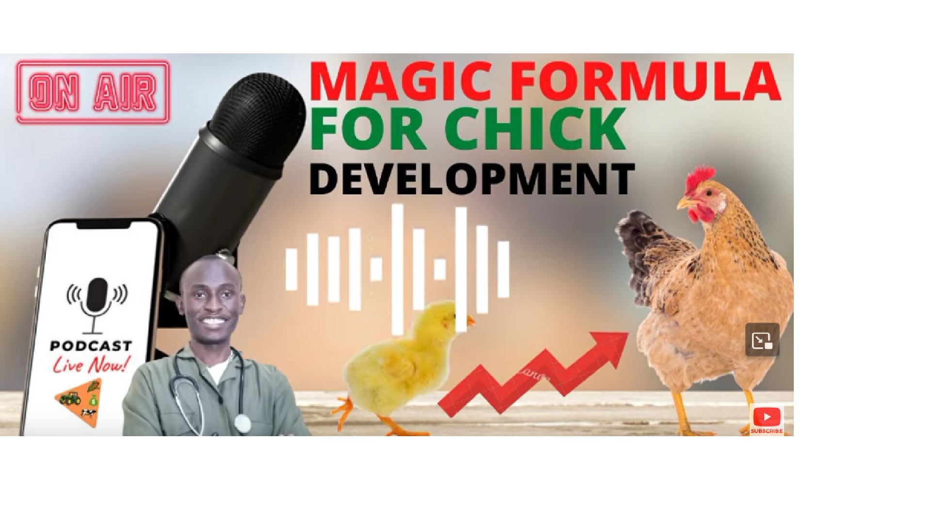Step by step formula for faster local chick development and weight gain ...