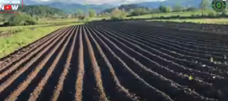 The Ultimate Guide to Improving Soil Quality and Soil Health on Your ...