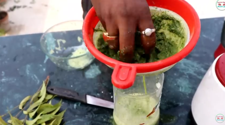 Making a natural pesticide for all Plants using neem and garlic - FO ...