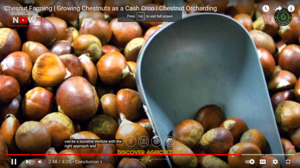 Chesnut Farming | Growing Chestnuts as a Cash Crop - FO-Video-Library