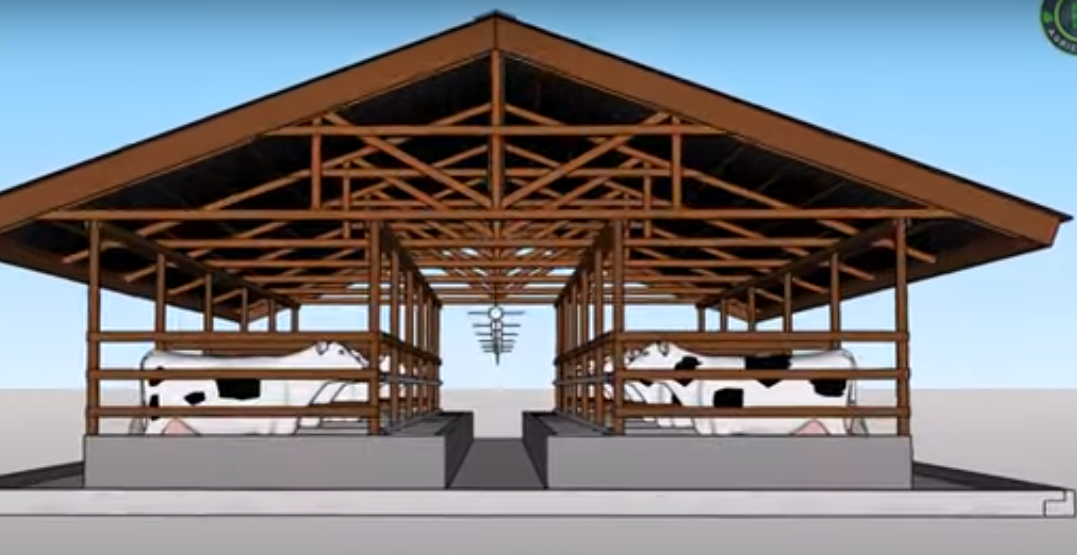 Simple Modern Dairy Farm Shed Design For 10 Cows | Cow Farm Beginners ...